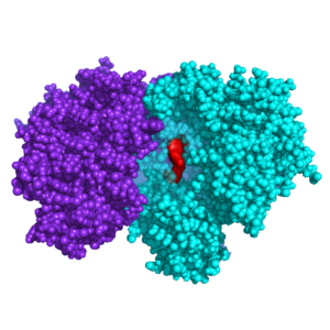 Our Platform - Gandeeva Therapeutics